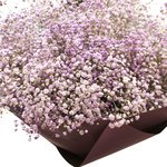 Флаффи сиреневый: большой букет из гипсофилы в Санкт-Петербурге: купить ...