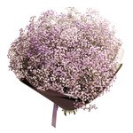 Флаффи сиреневый: большой букет из гипсофилы в Санкт-Петербурге: купить ...